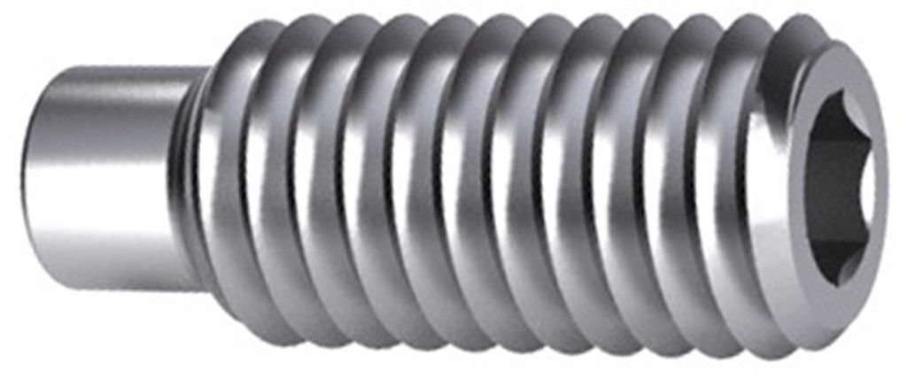 DIN915 M6x12 45H Stelschroef met binnenzeskant en tap | BB30129