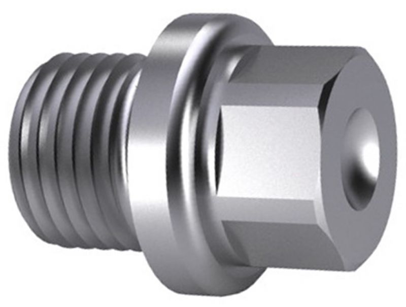 DIN910 G3/4" Staal Afdichtstop met kraag en zeskant en cilindrische ...